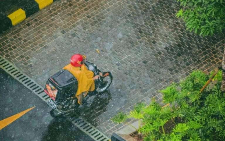 Reasons For Choosing Same Day Delivery Services